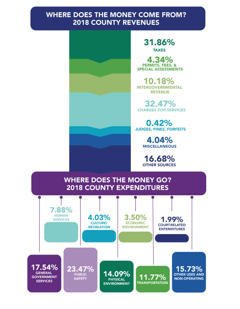 2021 County Revenues & Expenditures – Florida Institute for County ...